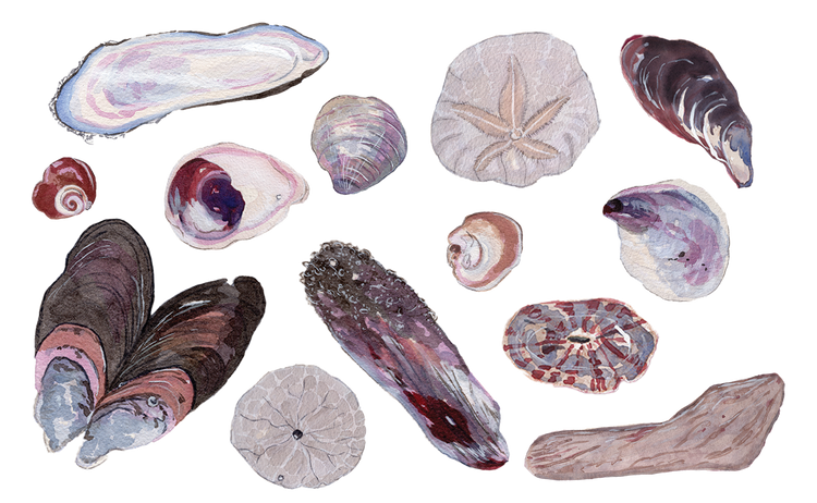 Emily Bourassa Studio Los Angeles Artist & Illustrator – EmilyBourassaStudio